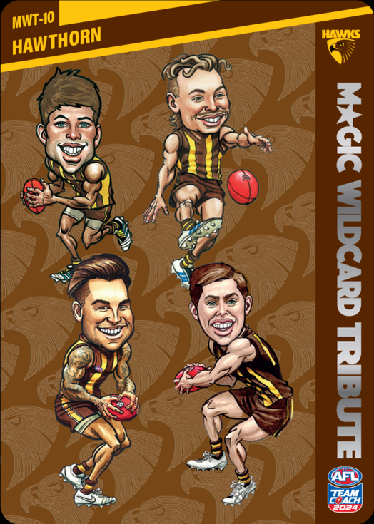 Hawthorn Hawks, Magic Wildcard Tribute, 2024 Teamcoach AFL — Ja Ja's ...