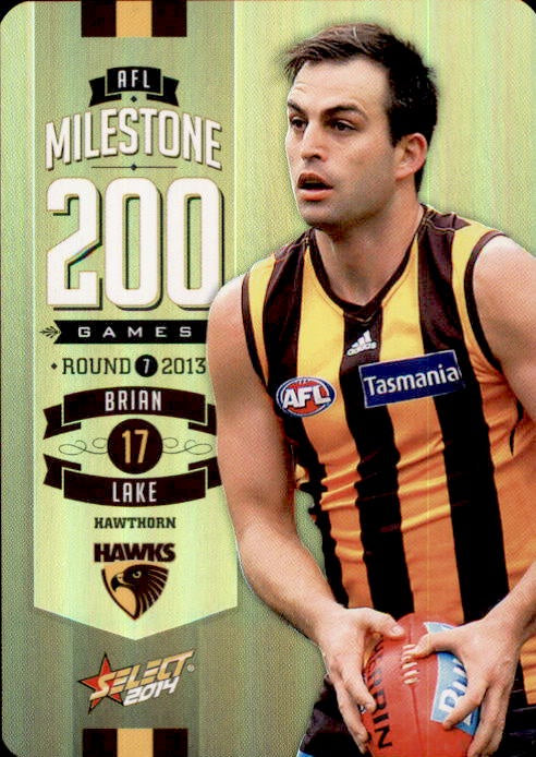 Brian Lake, 200 Game Milestone, 2014 Select AFL Champions — Ja Ja's ...